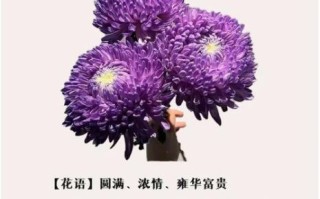 全部花的花语和象征意义_不同场合送什么花