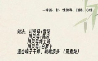 川贝可以直接泡水喝吗_川贝泡水正确方法