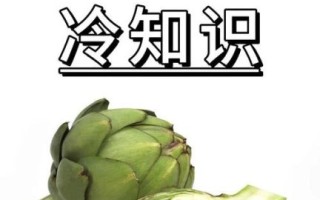 洋蓟的功效与禁忌_什么人不能吃洋蓟