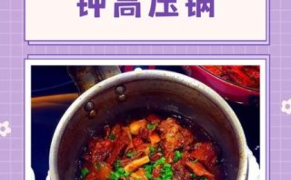 牛腩高压锅压多长时间_牛腩高压锅多久能烂