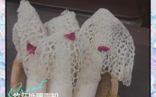 鲜竹荪怎么泡发_鲜竹荪的做法大全