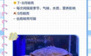 螃蟹在剥我的壳什么意思_螃蟹在剥我的壳出处