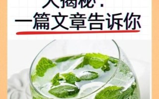 薄荷叶泡水喝的功效与作用_薄荷叶泡水能天天喝吗