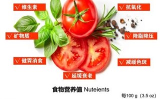 西红柿100g营养成分表_西红柿热量是多少