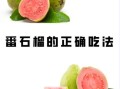 红石榴怎么吃_红石榴的正确吃法