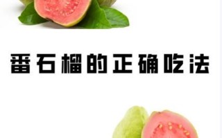 红石榴怎么吃_红石榴的正确吃法