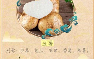 豆薯的功效与作用_豆薯怎么吃减肥