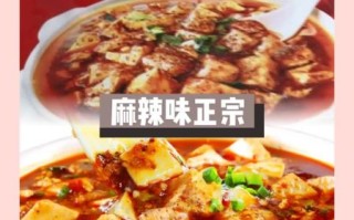 麻婆豆腐调料包怎么用_麻婆豆腐调料包哪个牌子好
