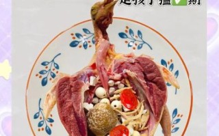 小孩蒸鸽子怎么做_蒸鸽子适合孩子吃吗