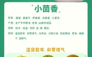小茴香是什么调料_小茴香的用法和作用