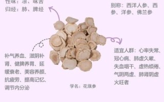 花旗参什么人不能喝_花旗参禁忌人群有哪些