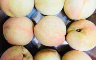 自制桃子罐头怎么做_桃子罐头保存多久