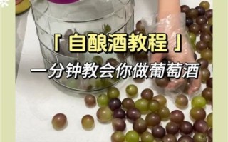 家庭酿造葡萄酒制作方法_如何自酿葡萄酒不失败