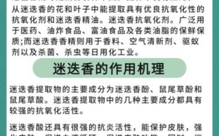 迷迭香茶的功效与作用_迷迭香茶怎么喝才健康