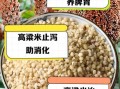 高粱米哪些人不能吃_高粱米禁忌有哪些