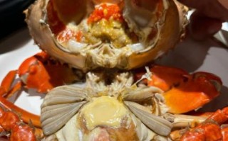 红膏蟹多少钱一斤_红膏蟹怎么挑选