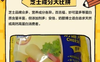 芝士是什么成分_芝士有哪些营养成分