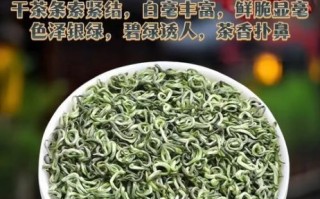 都匀毛尖茶多少钱一斤_都匀毛尖茶怎么泡
