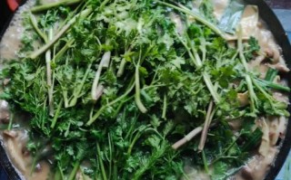 鲶鱼火锅怎么做好吃_鲶鱼火锅底料配方