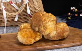 干猴头菇要泡发多久_干猴头菇怎么泡发才干净