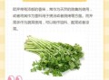 欧芹和香菜的区别_欧芹和香菜哪个好吃