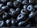 how_to_store_blueberries_fresh_longer_do_blueberries_need_washing