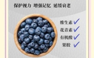蓝莓的营养价值_蓝莓怎么吃最营养