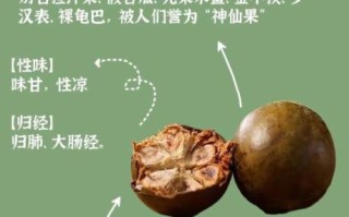 罗汉果怎么泡水_罗汉果一天吃多少合适