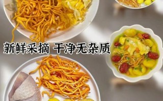 新鲜虫草花怎么吃最好_新鲜虫草花做法大全
