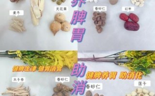春砂仁怎么吃养胃_春砂仁对胃最好的食用方法