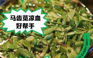 马齿苋煮水一天喝多少_马齿苋水能长期喝吗