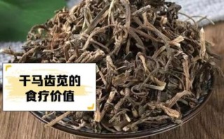 马齿苋晒干了有功效吗_马齿苋干的功效与作用