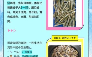 长竹蛏怎么挑选_长竹蛏和竹蛏区别