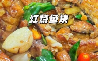 炖鱼块的家常做法大全_炖鱼块怎么做好吃