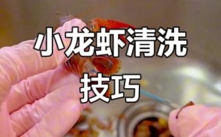 小龙虾怎么杀才干净_小龙虾清洗去虾线技巧