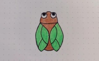 知了图片卡通怎么画_知了卡通素材哪里找