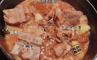 红焖羊肉最正宗的做法_家庭版详细步骤