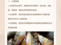 淡水石斑鱼吃什么饵料_淡水石斑鱼饵料配方