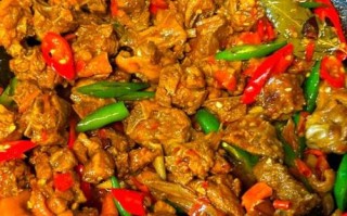 鸭肉怎么做好吃_鸭肉的做法大全