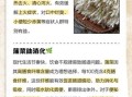 蒲菜的营养价值_蒲菜怎么吃最健康