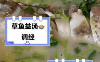 草鱼汤的功效与作用_草鱼汤适合什么人喝