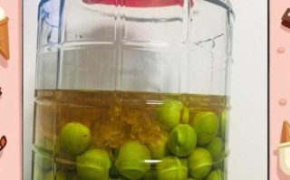 5斤青梅泡多少斤酒_青梅酒比例怎么算