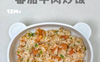 番茄酱炒饭怎么做_番茄酱炒饭的做法步骤