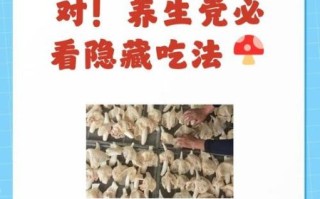 竹荪的功效与作用禁忌_竹荪怎么吃才健康