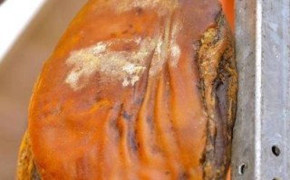 金华火腿腌制全过程_传统工艺揭秘