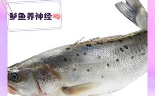女人常吃鲈鱼的好处_鲈鱼对女性有哪些营养价值