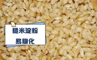 糙米糖尿病人能吃吗_糙米升糖指数高吗