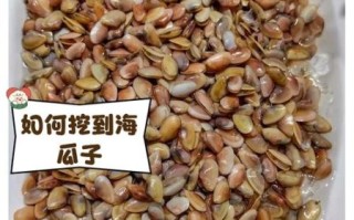 海瓜子多少钱一斤_海瓜子价格行情