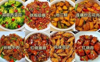 家常菜菜谱大全1000例_如何快速找到适合新手的菜