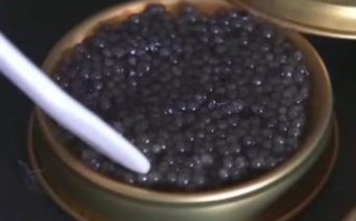 鱼子酱价格多少钱一克_正宗鱼子酱多少钱一克